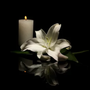 Leo Perino Death, Obituary - Dana Perino Mourns Loss Of Father ...